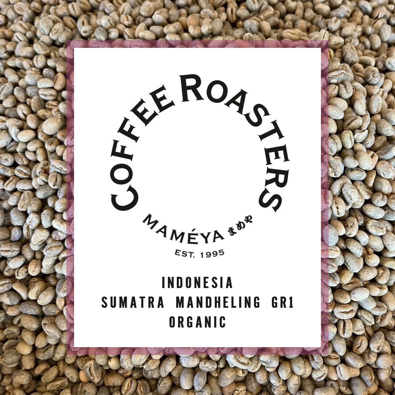 Indonesia Sumatra Mandheling GR1 Organic – MAMEYA Coffee Roaster
